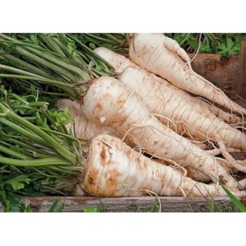 Légumes | Drive Fermier Aube